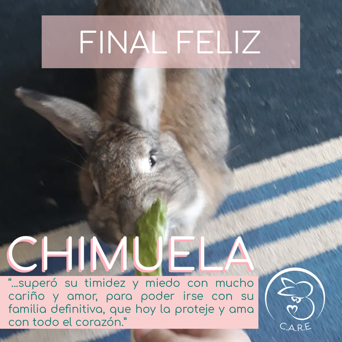 CHIMUELA: CONOCE SU HISTORIA :: Bunny-c-a-r-e
